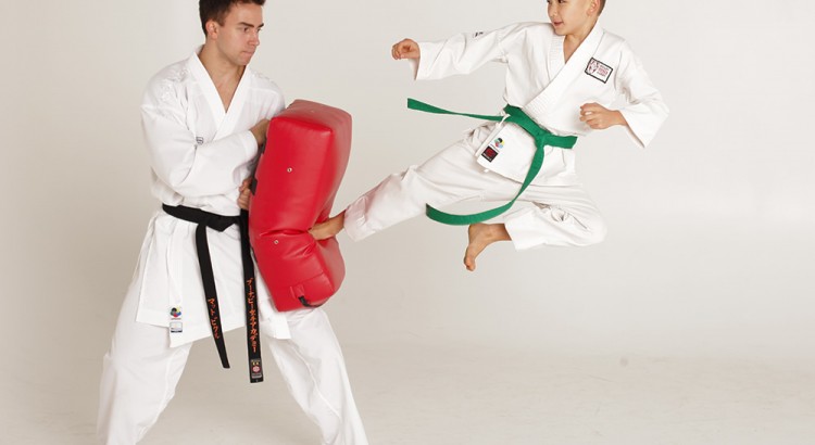 Why Ordinary People Need To Learn Karate Martial Arts Guy